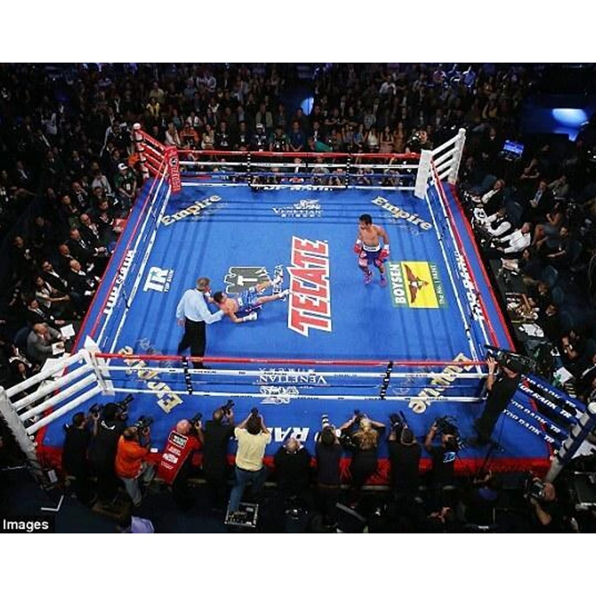 Pro Box Boxing Ring at Mitchell Barclay-harvey blog